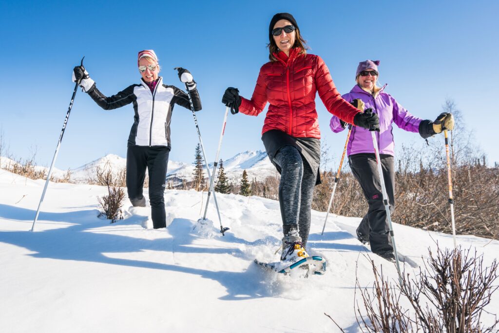 Tour La Ruta de las Auroras Boreales AK050-Premium – Alaska Latin Tours