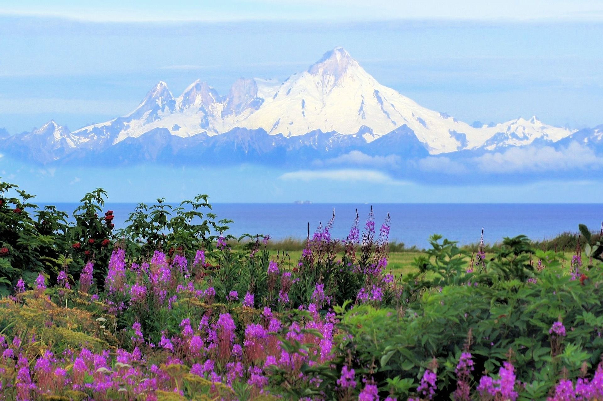 Circuitos de verano en Alaska – Alaska Latin Tours